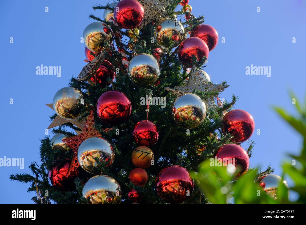 Colourful bubbles on an exterior Christmas tree Stock Photo - Alamy