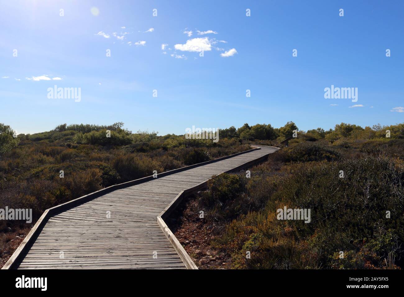 wooden path through nature to the horizon Stock Photo - Alamy