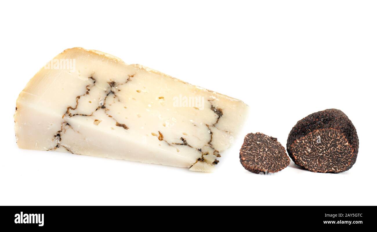 truffle cheese in front of white background Stock Photo - Alamy