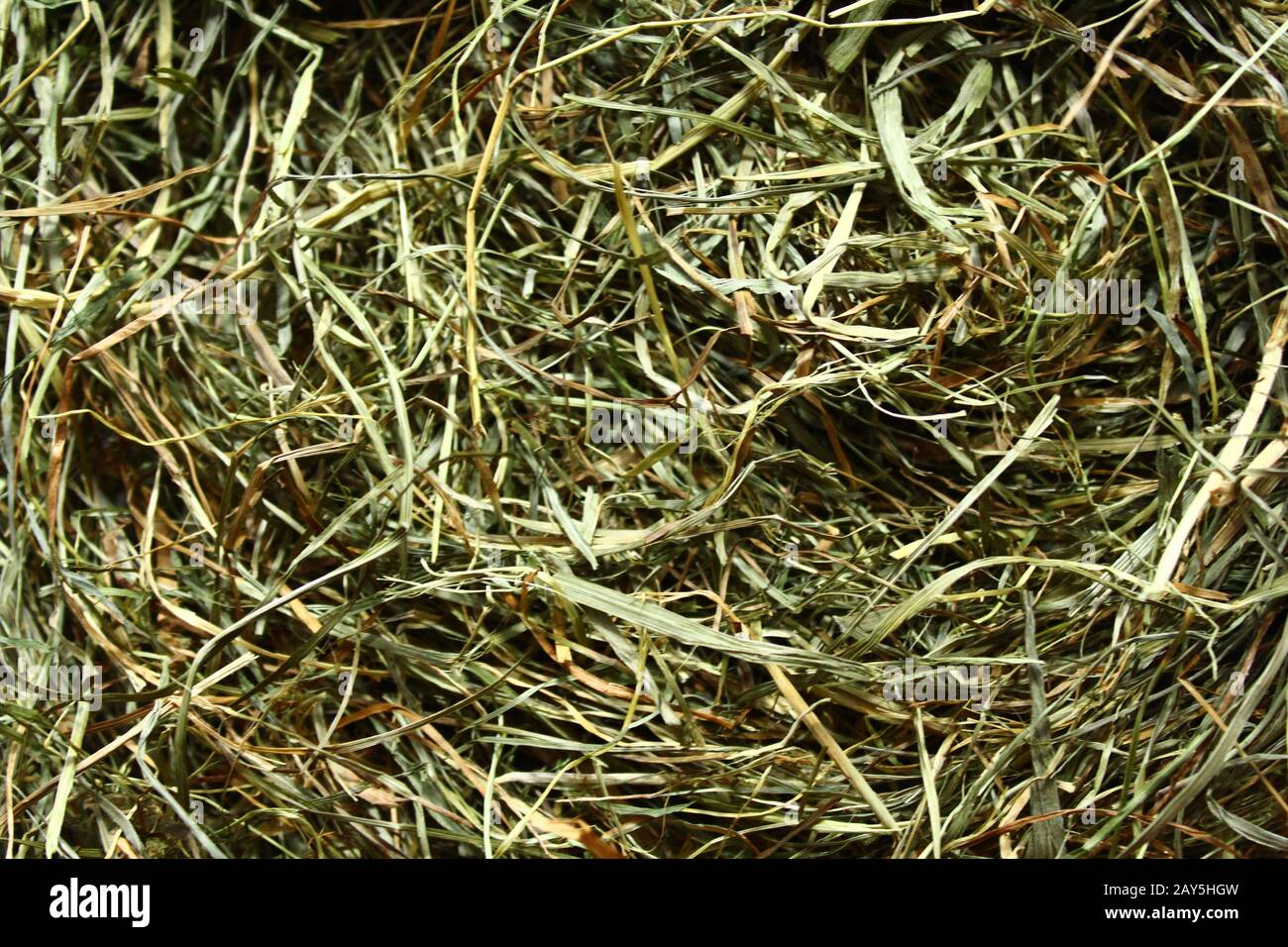 The picture shows a hay background Stock Photo - Alamy