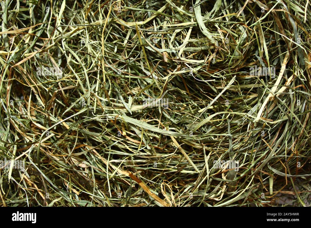 The picture shows a hay background Stock Photo - Alamy