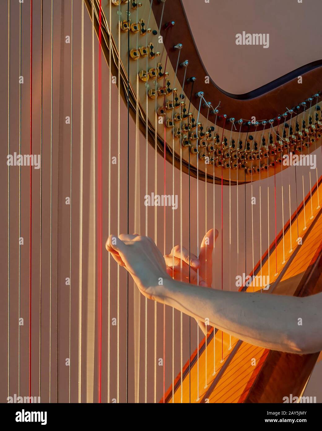 Lady playing the harp hi-res stock photography and images - Alamy