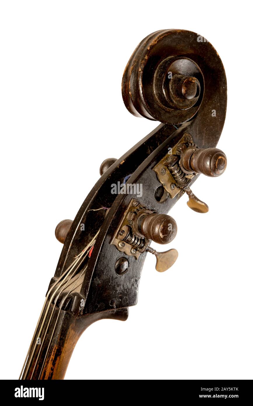 Cello head hi-res stock photography and images - Alamy