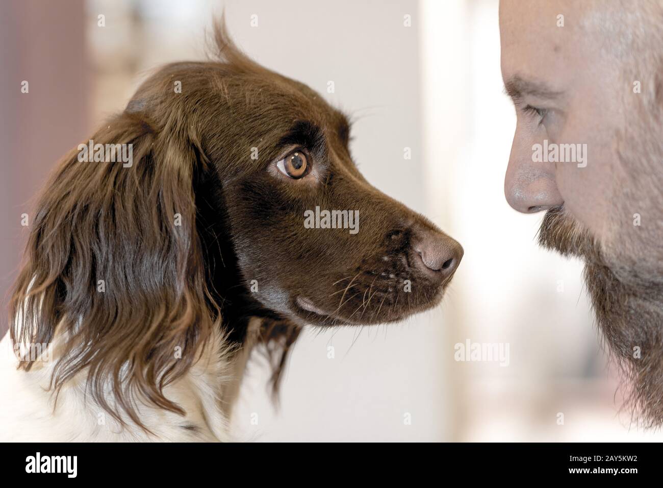 dog and man Stock Photo - Alamy