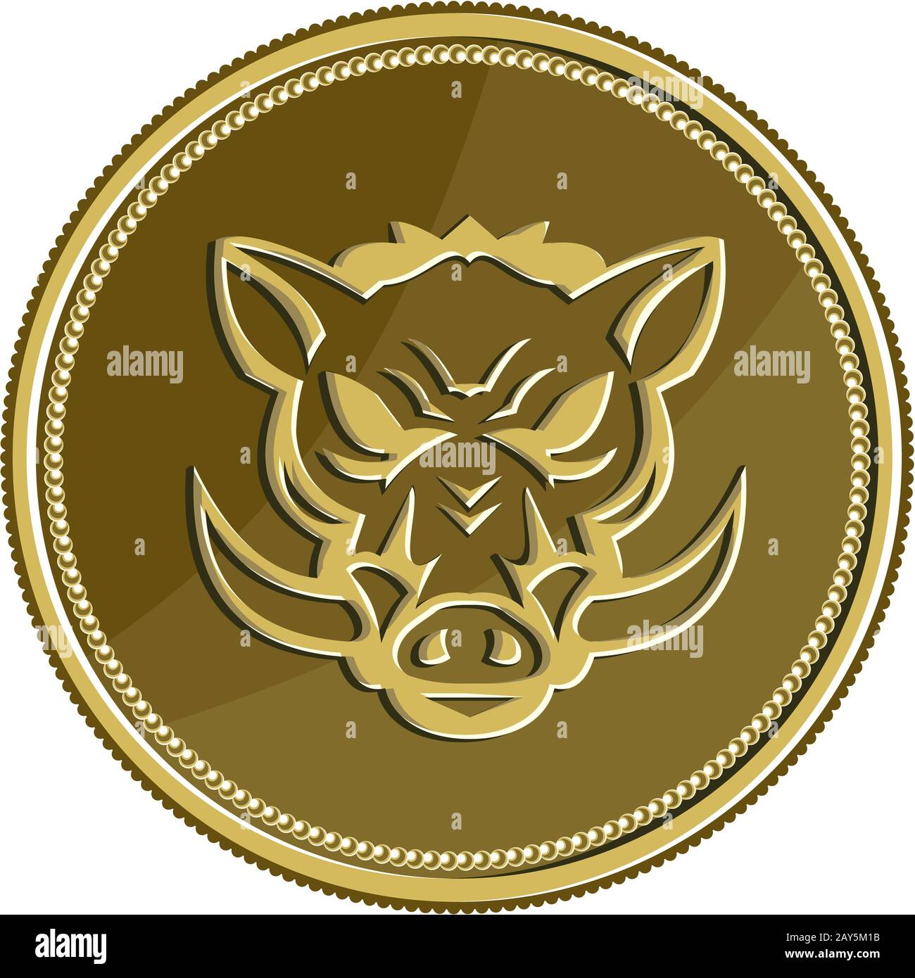 Angry razorback wild pig hog hi-res stock photography and images - Alamy