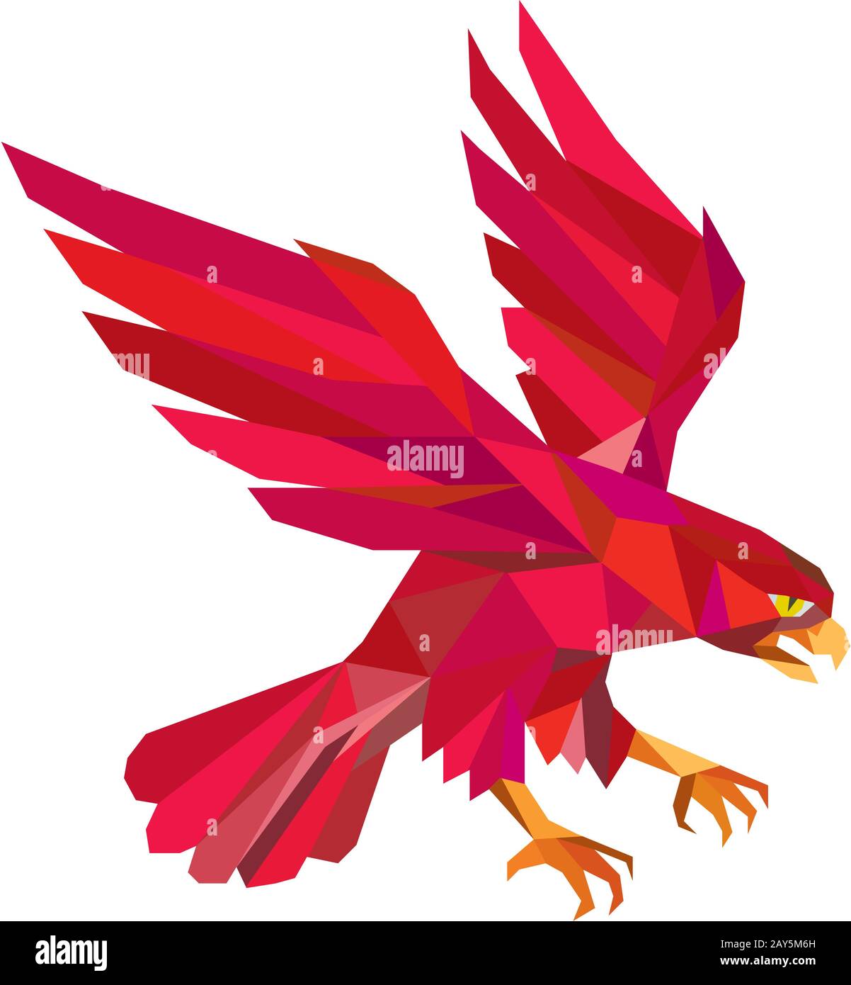 Peregrine Falcon Swooping Low Polygon Stock Photo - Alamy