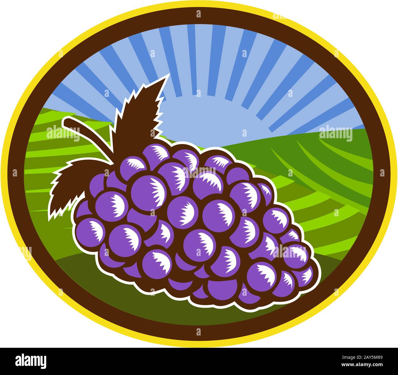 Woodcut grapes hi-res stock photography and images - Alamy
