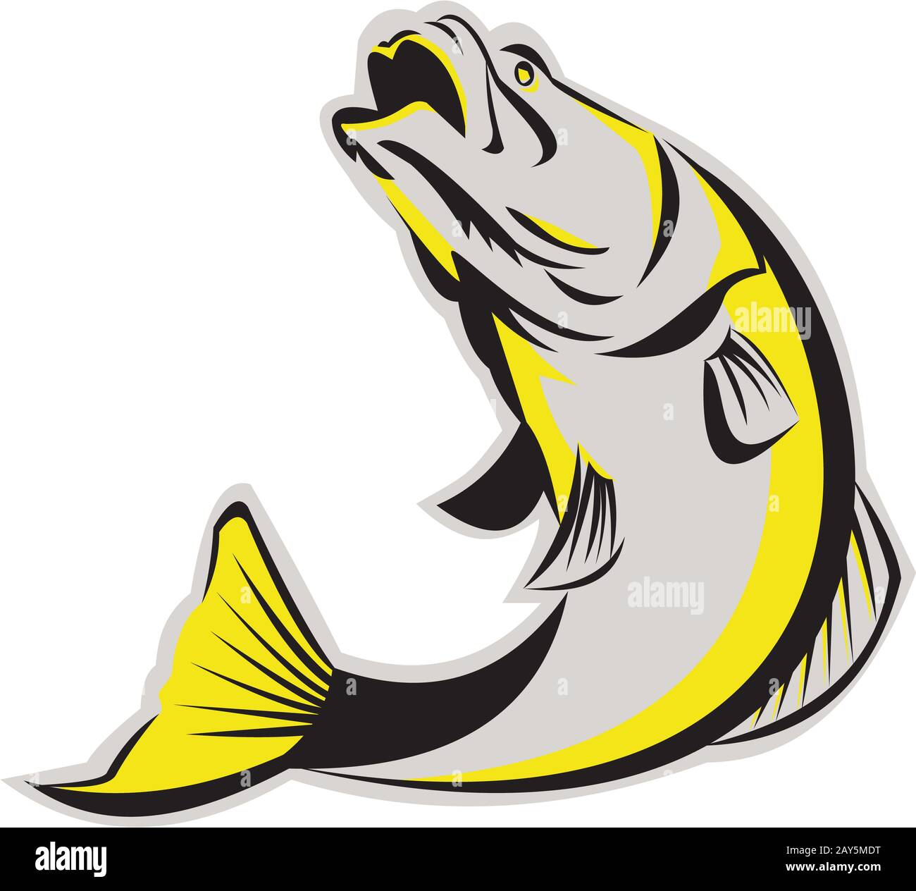 Barramundi Fish Jumping Up Isolated Retro Stock Photo - Alamy