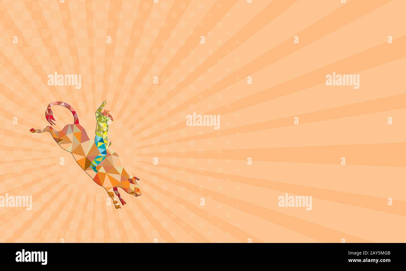 Business card Rodeo Cowboy Bull Riding Low Polygon Stock Photo - Alamy