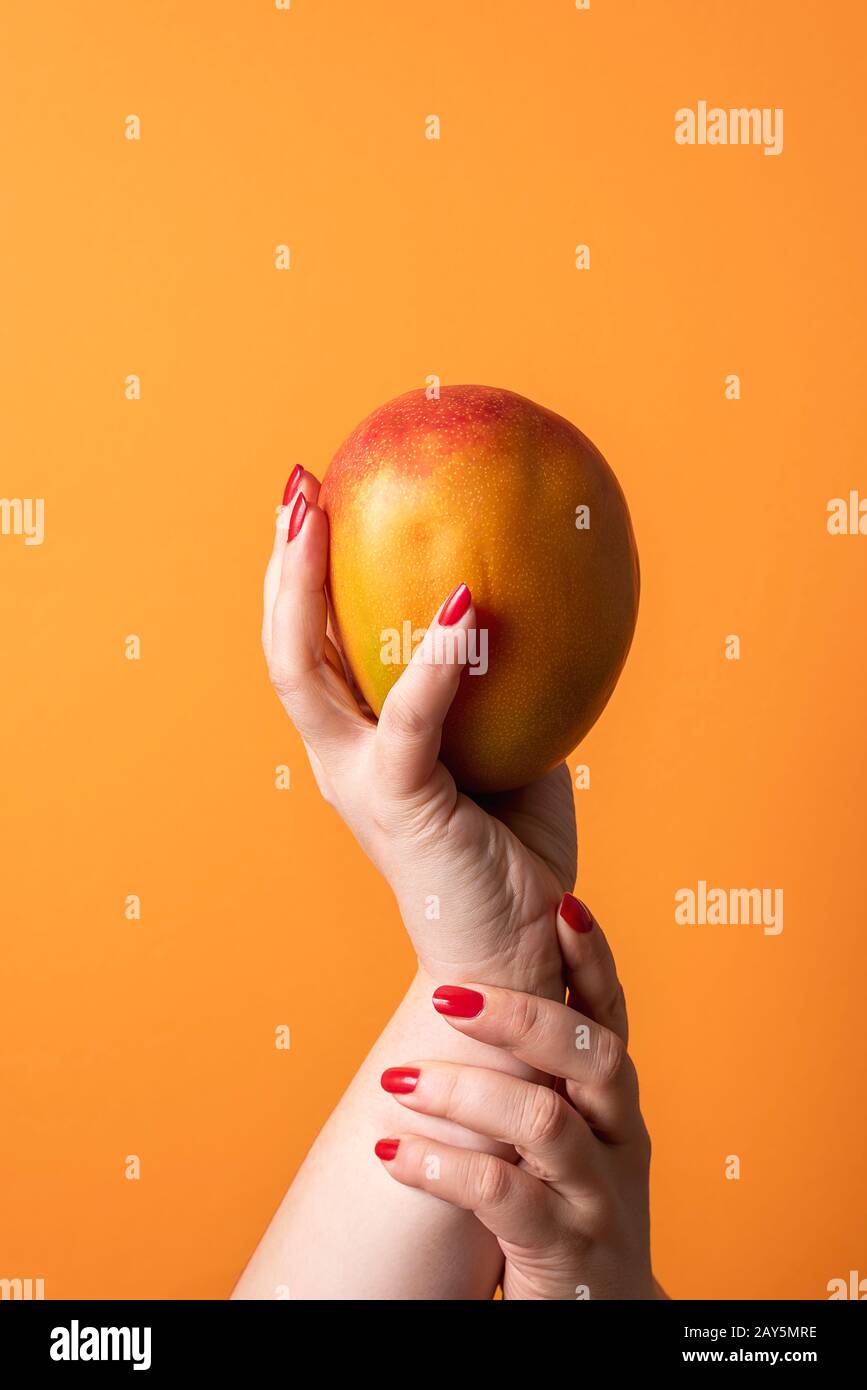 Ripe mango fruit hold in hands, on a orange background. Tropical fruit ...