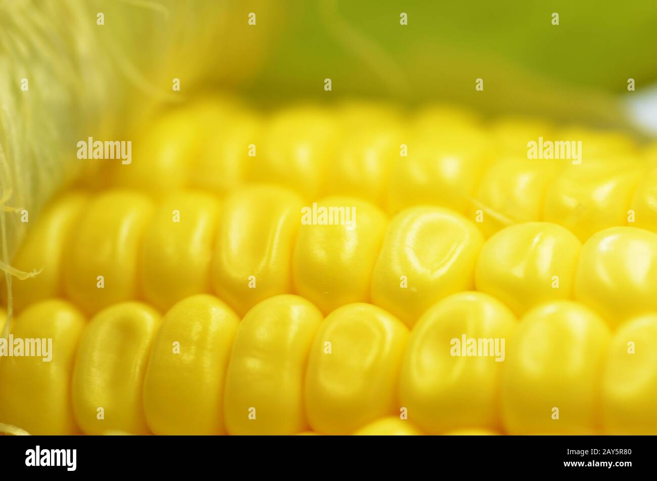 Detail shot of fresh corn on cob Stock Photo - Alamy