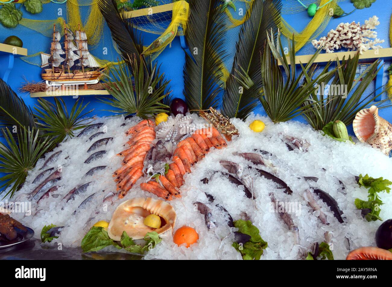 Display stands of fishes and seafoods but also shellfish put on the ice ...