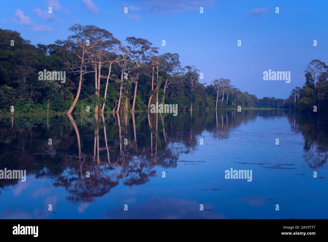 Reflections of the jungle over the broad moat of the ancient city of ...