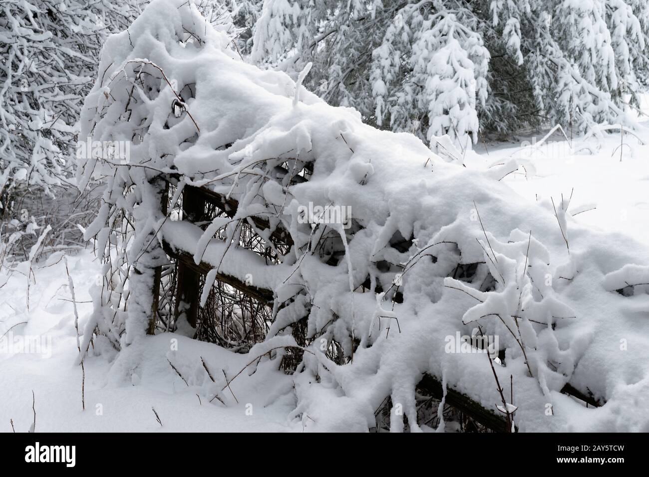 A winter wonderland in an Ontario farmscape and on a cedar fencerail ...