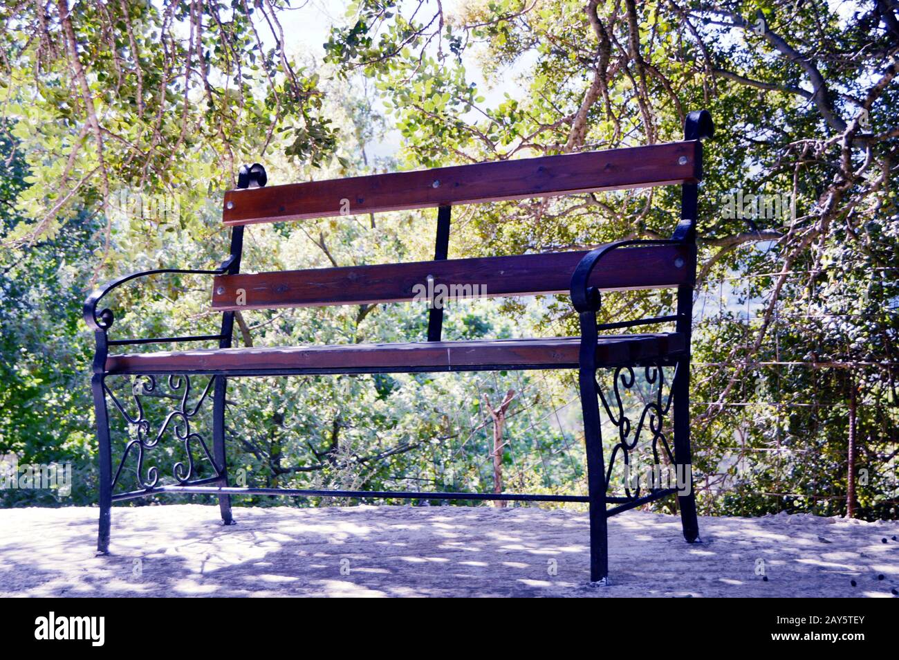 Shade tree bench hi-res stock photography and images - Alamy