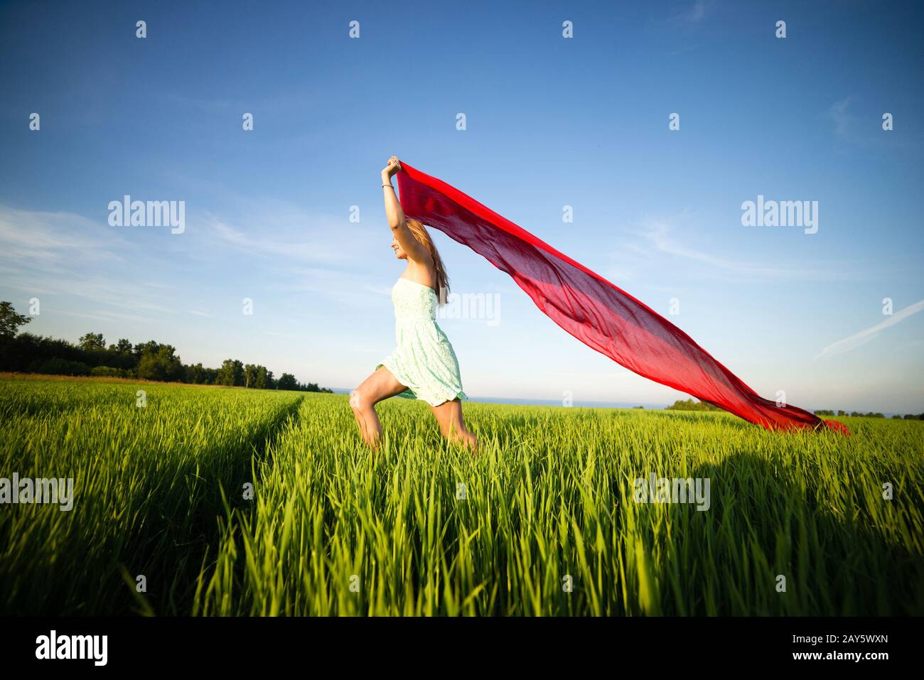 Wheat tissue hi-res stock photography and images - Alamy