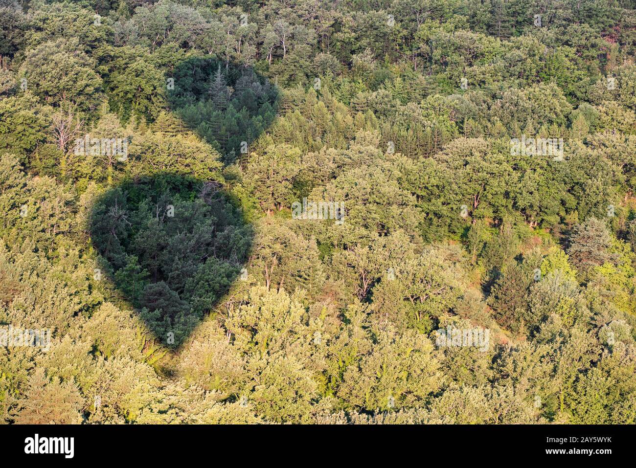 Aerial view of green treetops hi-res stock photography and images - Alamy