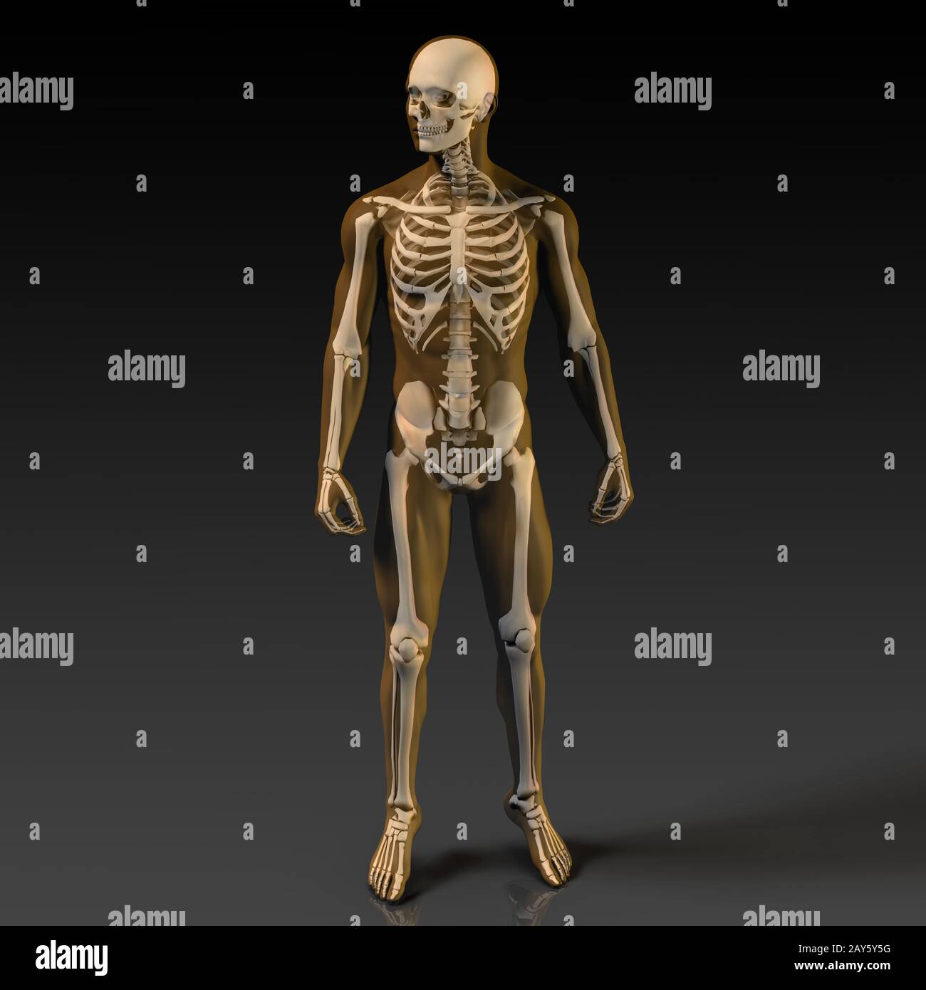 Research and Development on Body Science Stock Photo - Alamy