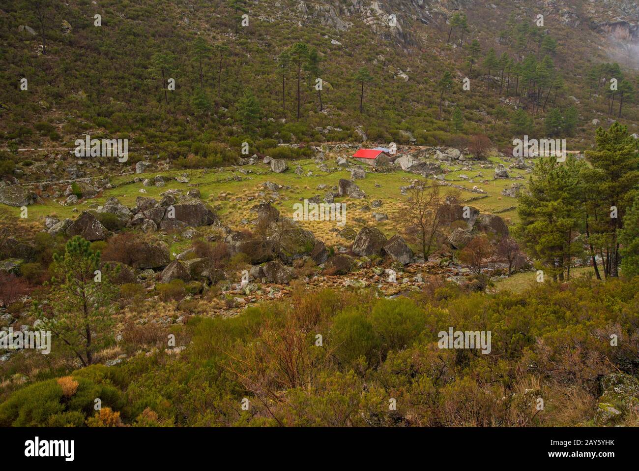 Natural landscape with rocky terrain and dense vegetation in the Serra ...