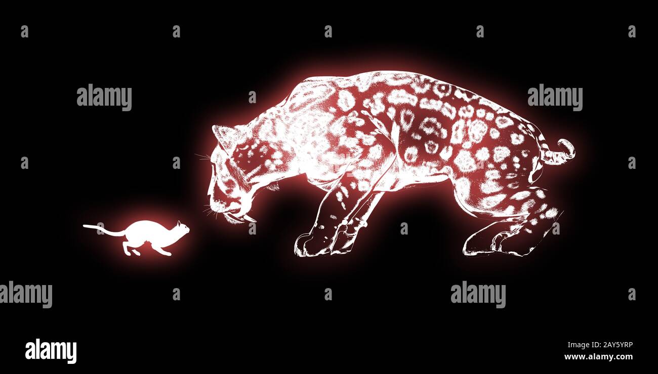 Think big cat hi-res stock photography and images - Alamy