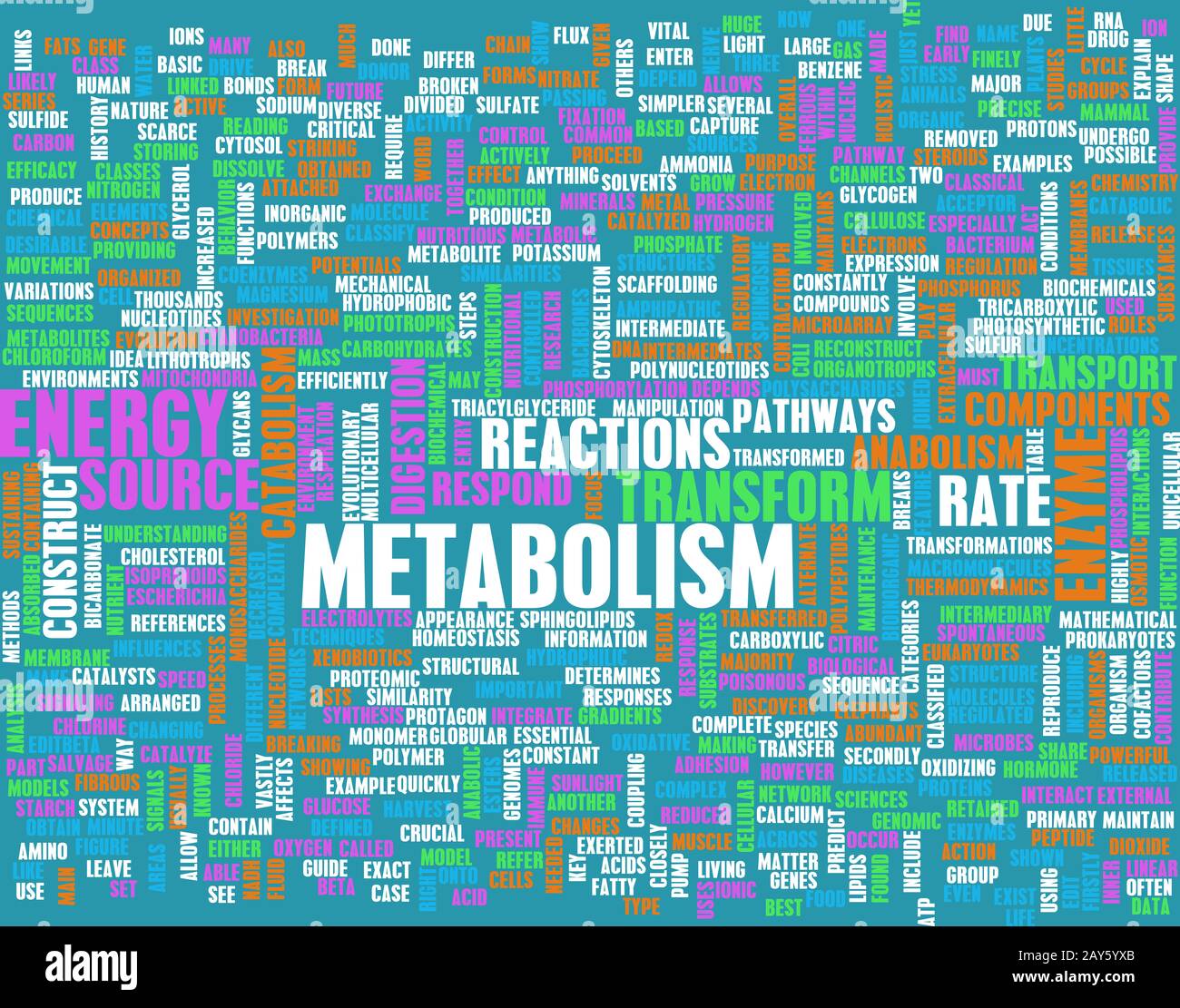 Metabolic diagram hi-res stock photography and images - Alamy
