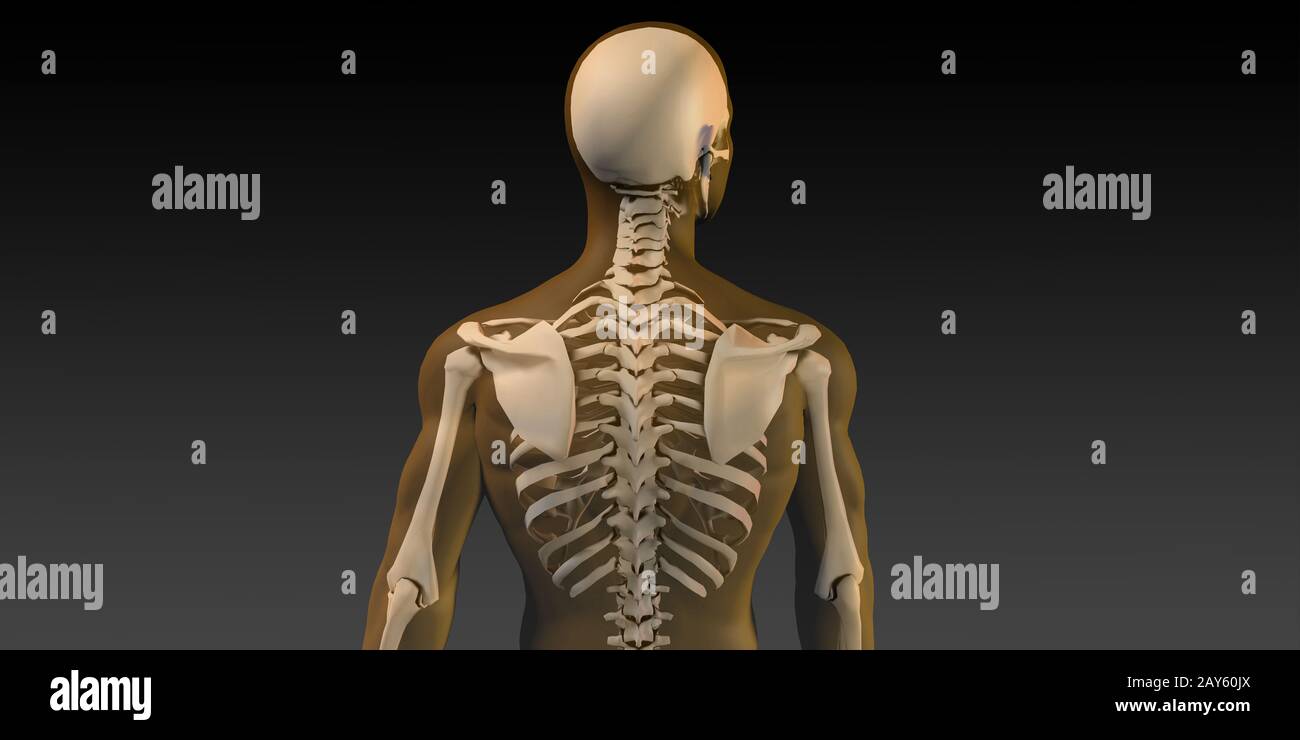 Radiography Scan with Bones Stock Photo - Alamy