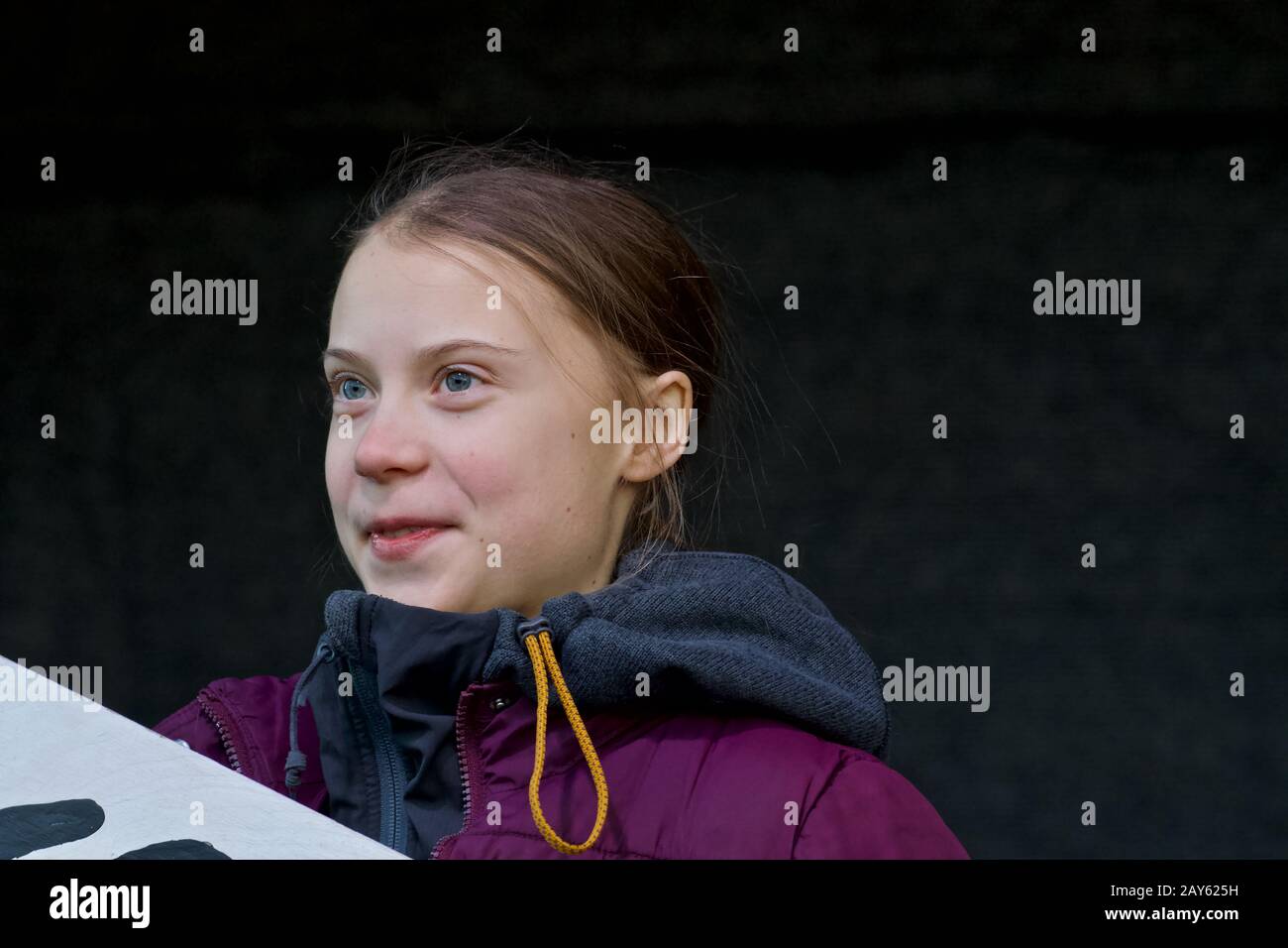 Global strike 2020 hi-res stock photography and images - Alamy