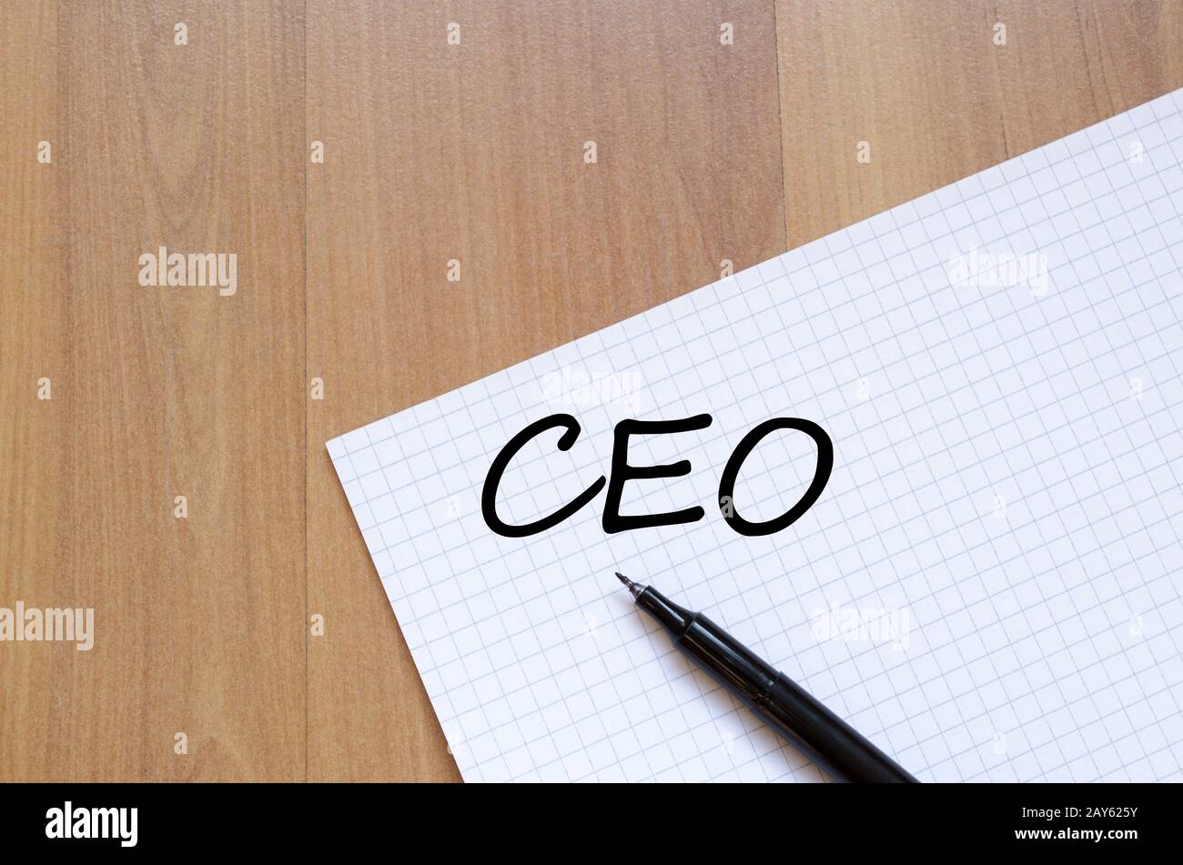 Ceo write on notebook Stock Photo - Alamy