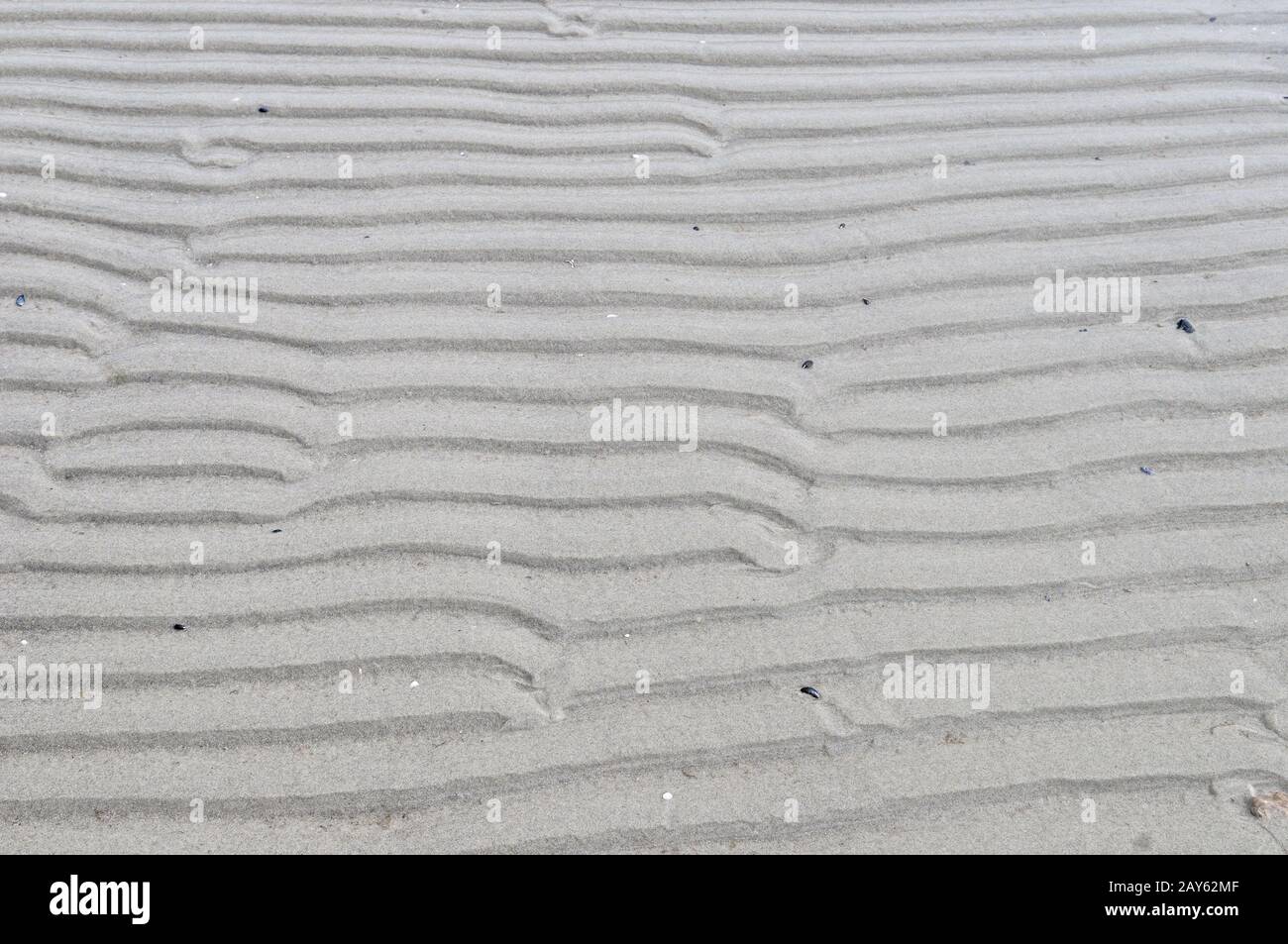 Ripples on the sandy beach in the structure of water movement Stock ...