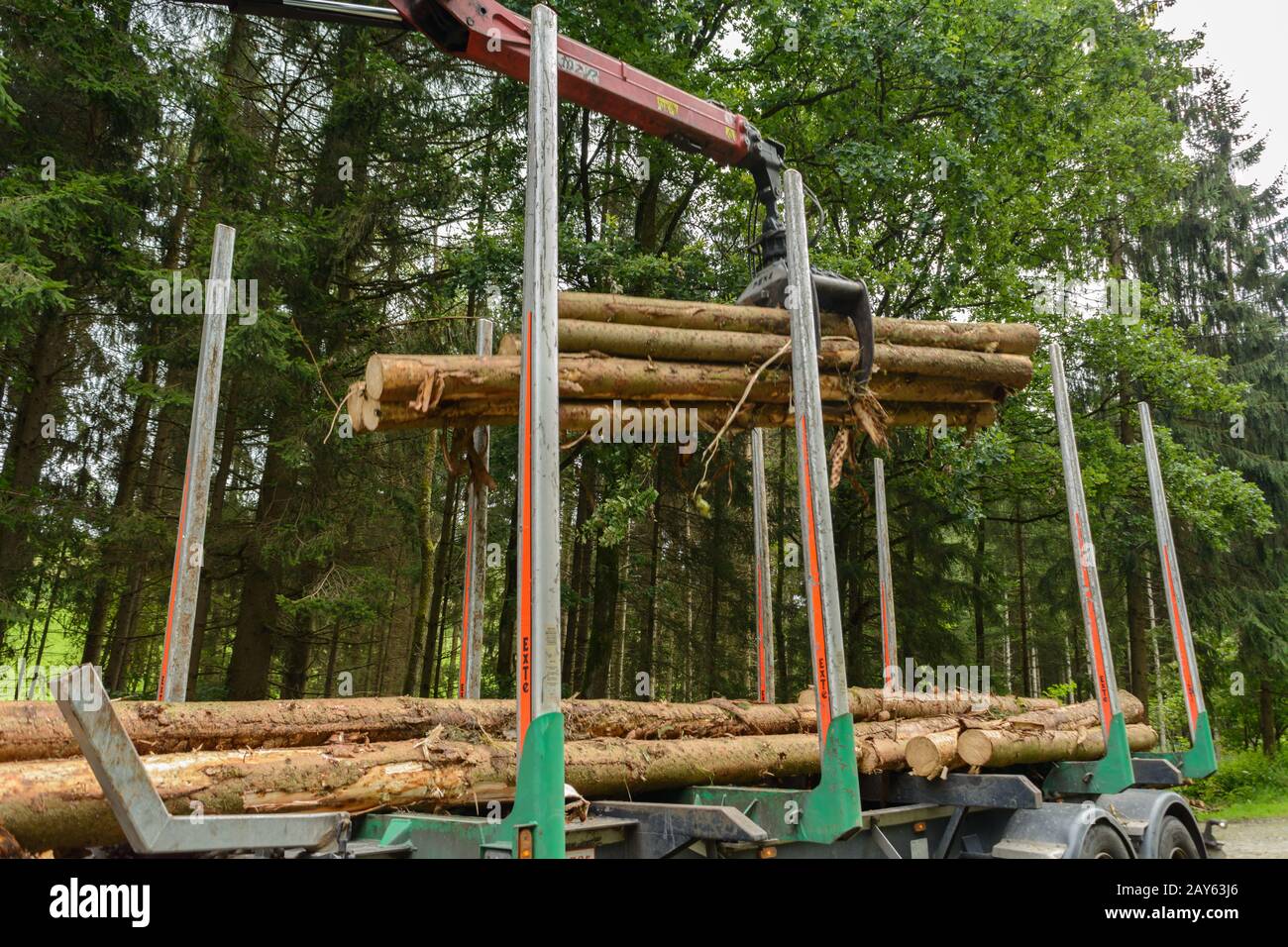 Logs are loaded with crane onto timber transporter - round timber Stock ...