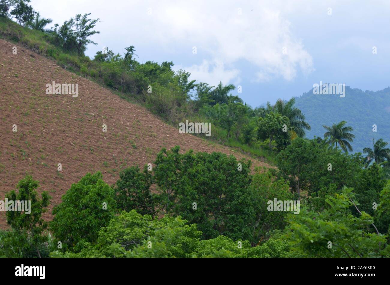 Forest logging and overgrazing causes slope erosion at the foothills of ...