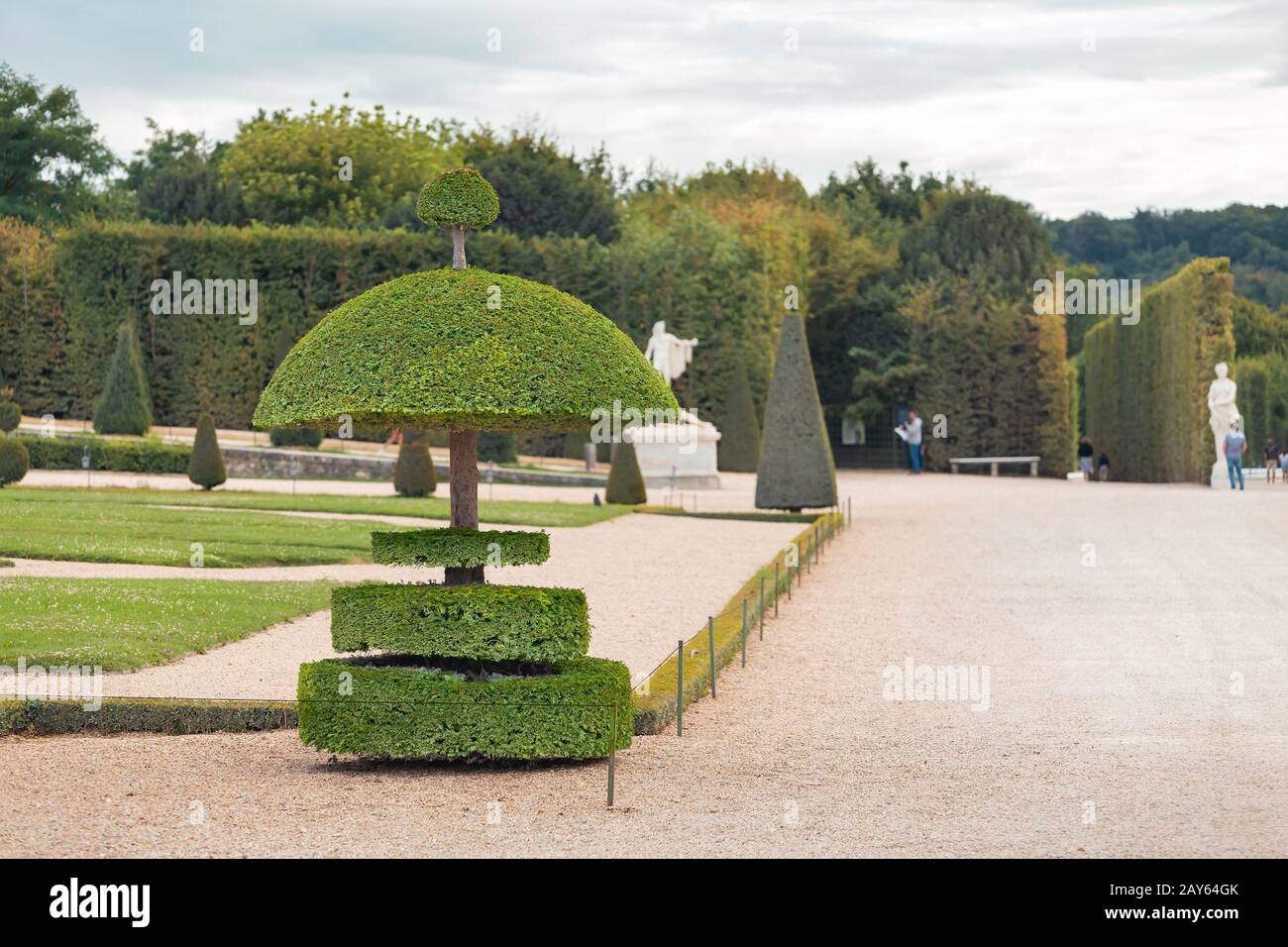 ornamental trees of various beautiful shapes in the Royal garden of ...