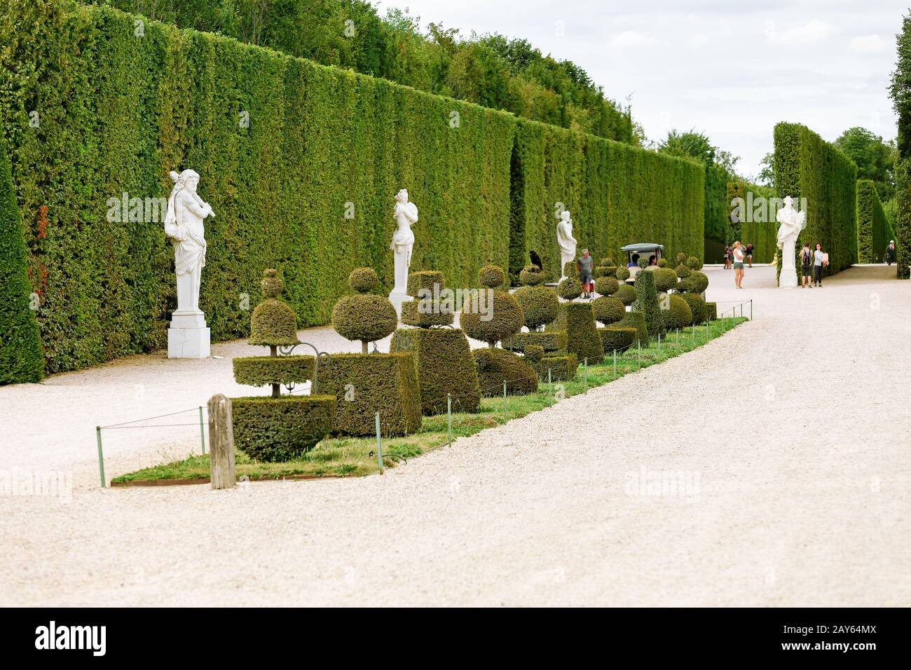 30 july 2019, France, Versailles: ornamental trees of various beautiful ...