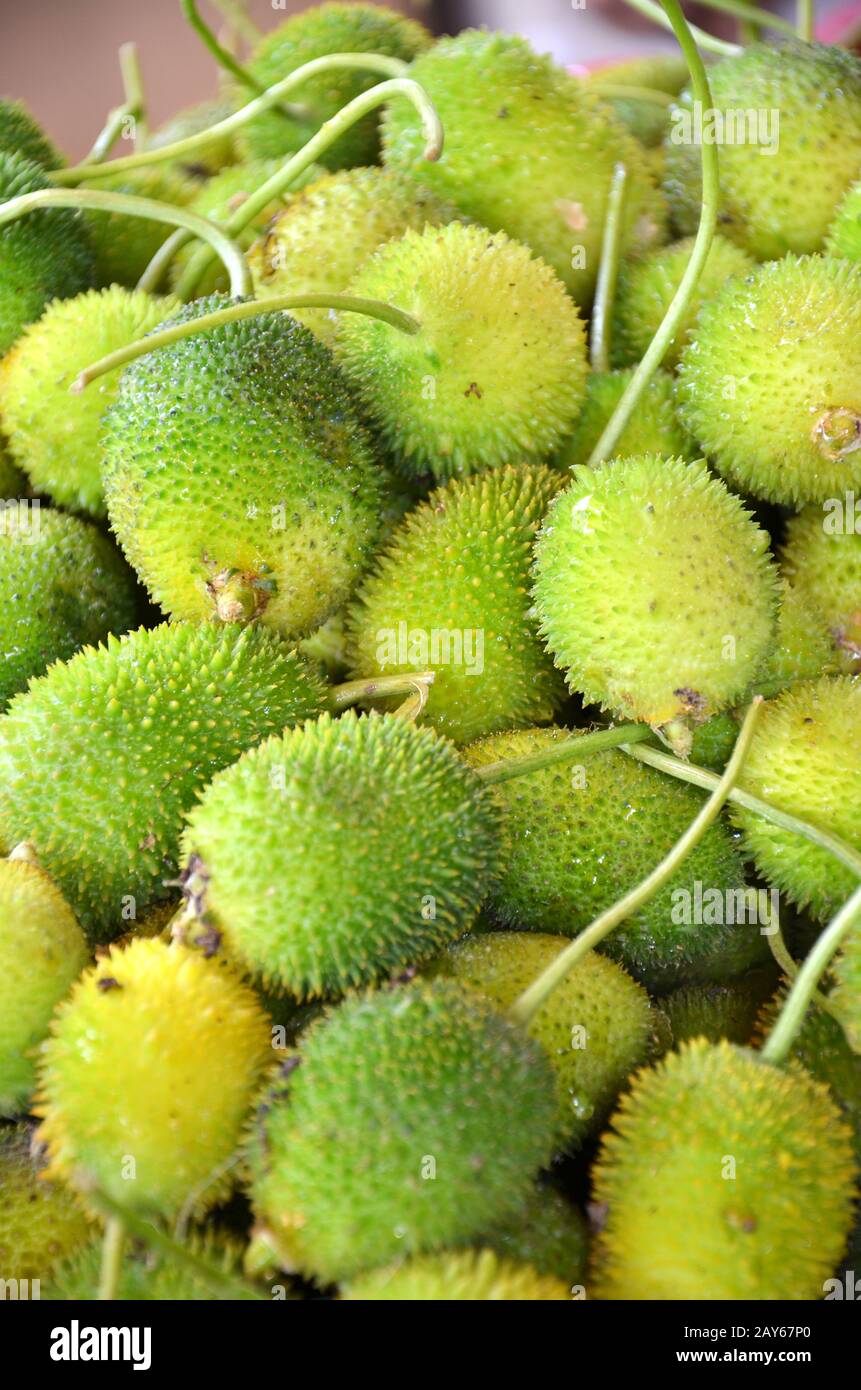 Raw spiny gourd Stock Photo - Alamy