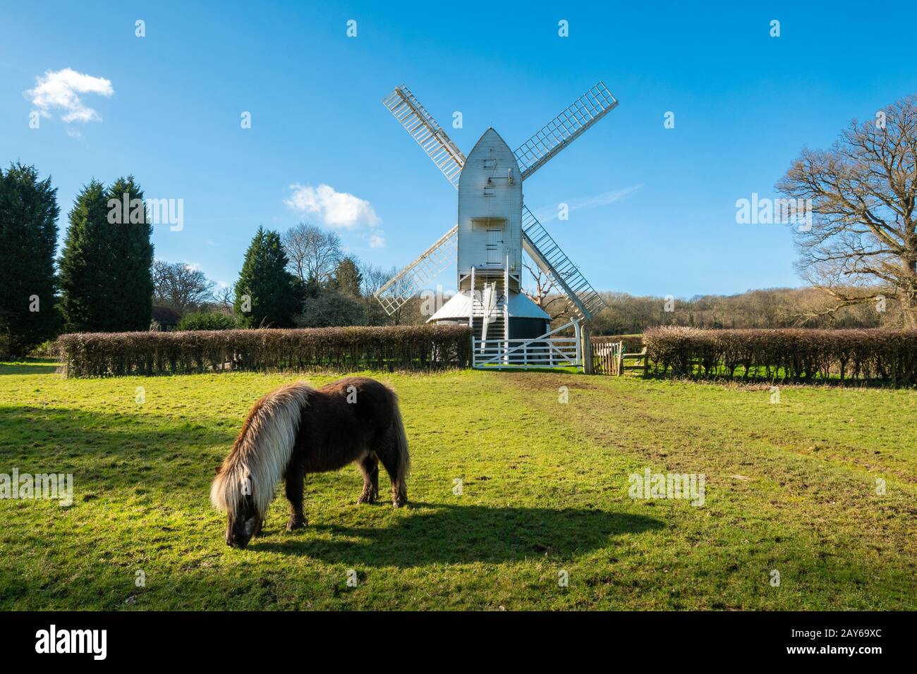 Shetland pony at Lowfield Heath Windmill, a grade II listed post mill ...