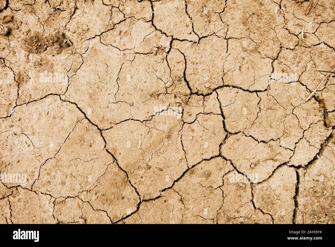 dry mud background texture Stock Photo - Alamy