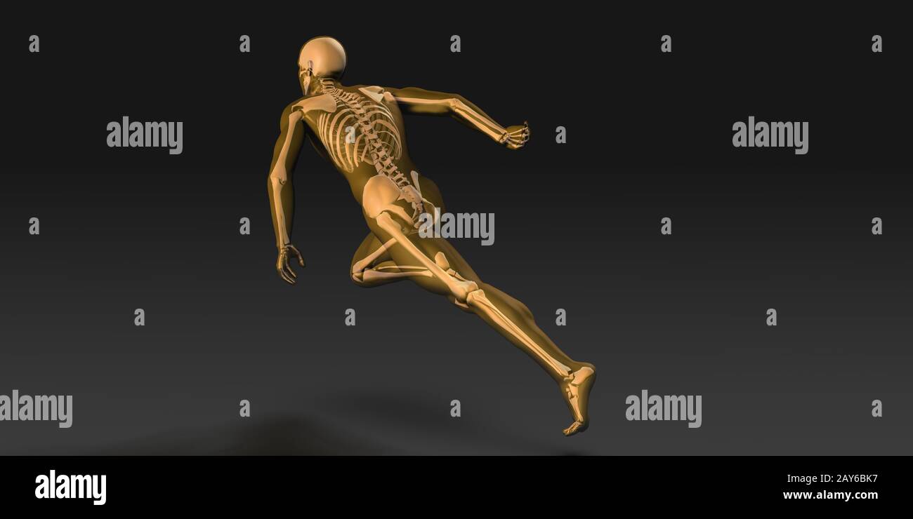 Human Anatomy with Visible Skeleton and Muscles Stock Photo - Alamy