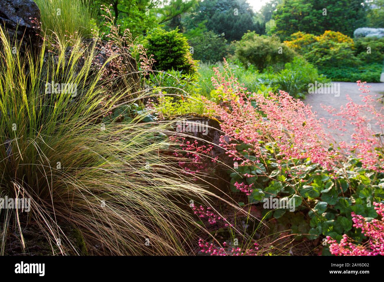 Flora cologne hi-res stock photography and images - Alamy