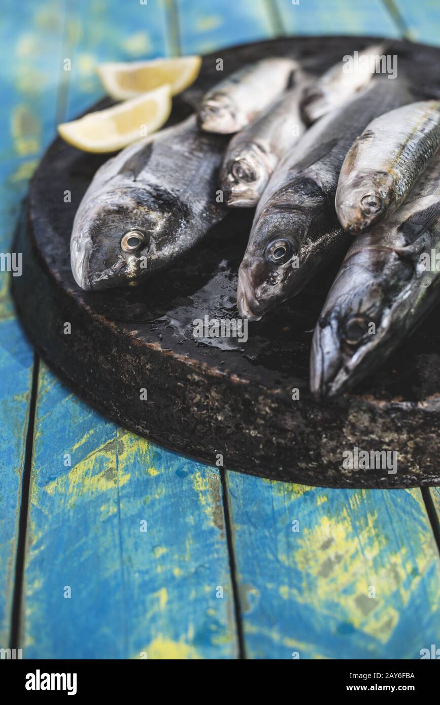 Raw fish. Sea bream, sea bass, mackerel and sardines Stock Photo - Alamy