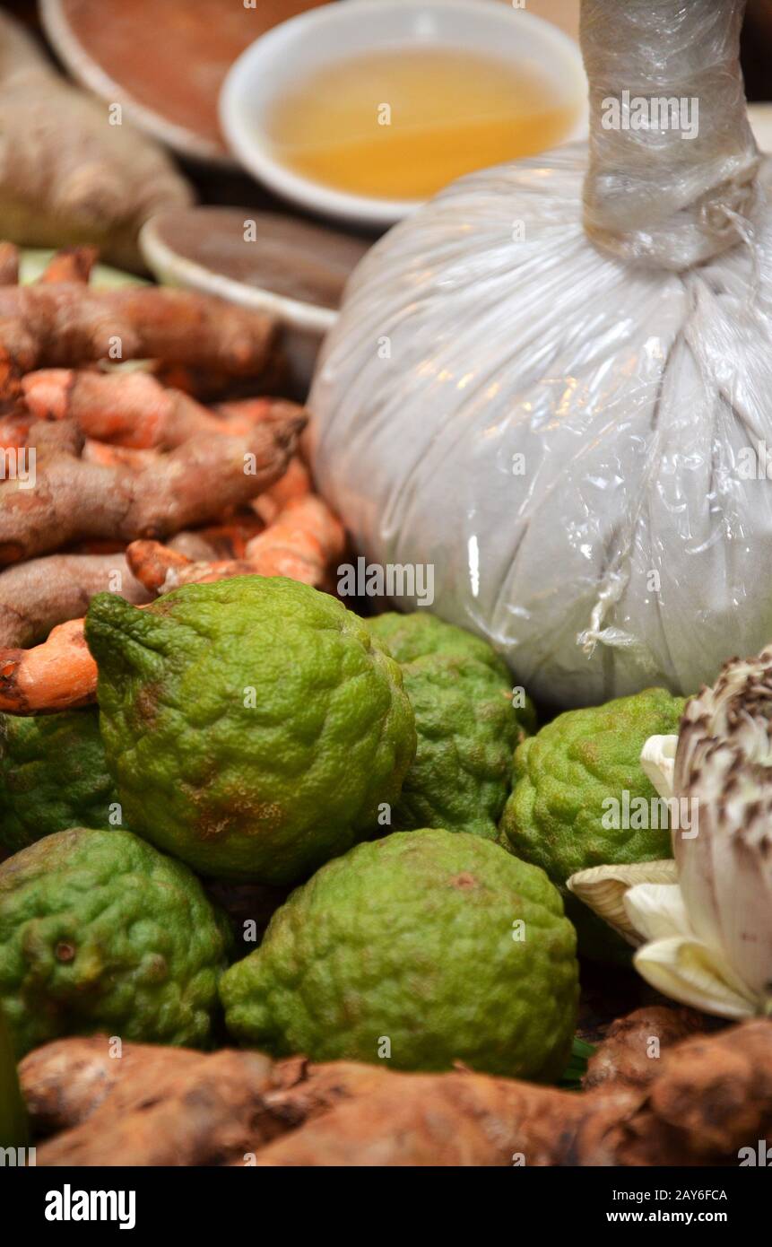 Cassumunar ginger hi-res stock photography and images - Alamy