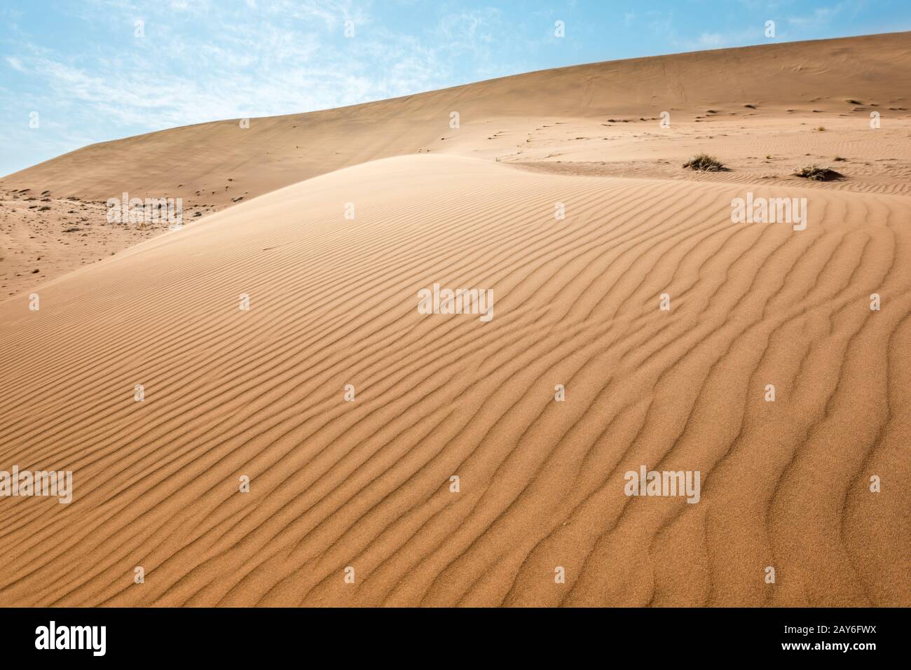 Endless sand waves on sand dunes of Namib Desert Stock Photo - Alamy