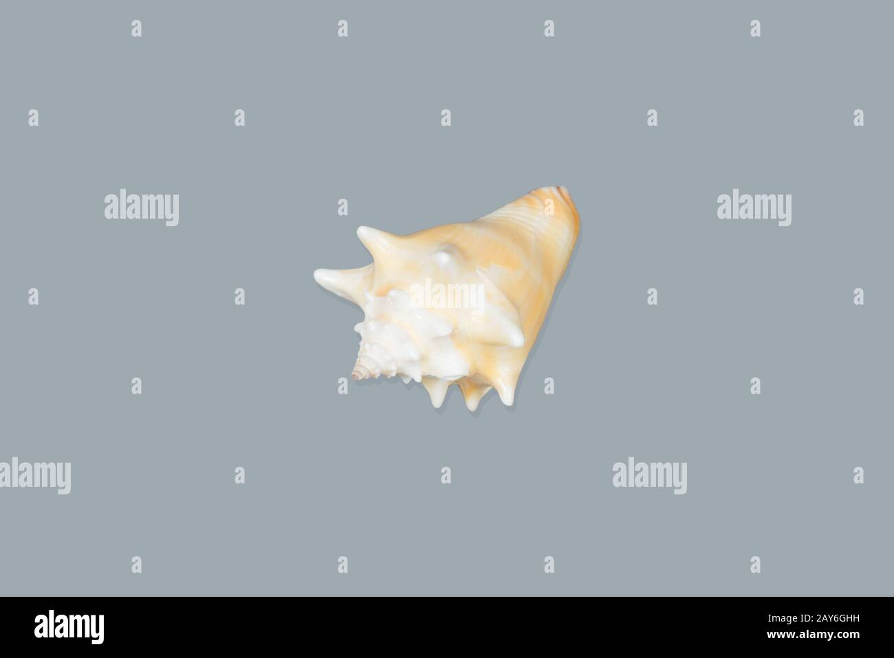 Be photographed on holiday hi-res stock photography and images - Alamy