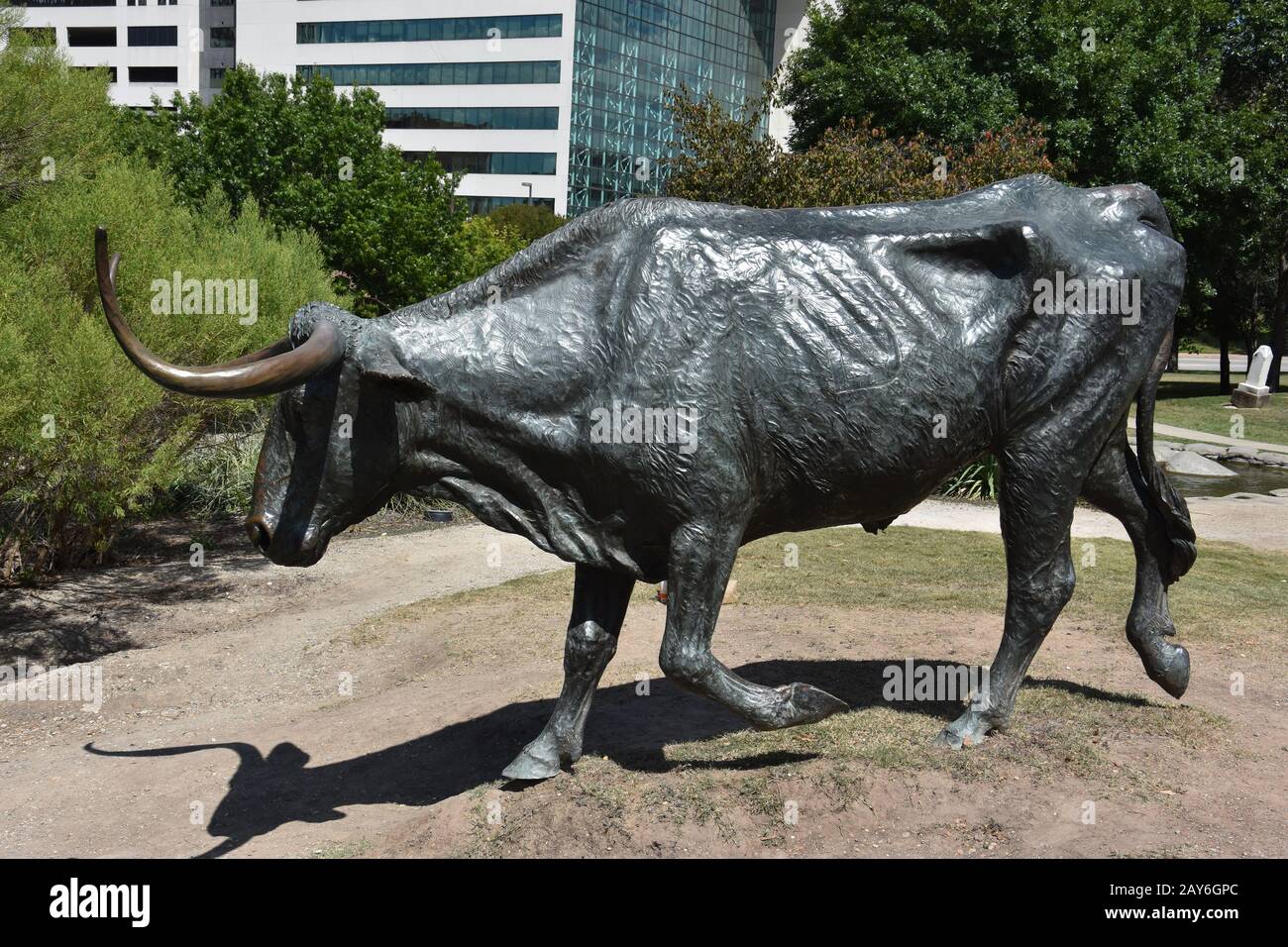 The Cattle Drive Sculpture at Pioneer Plaza in Dallas, Texas Stock ...