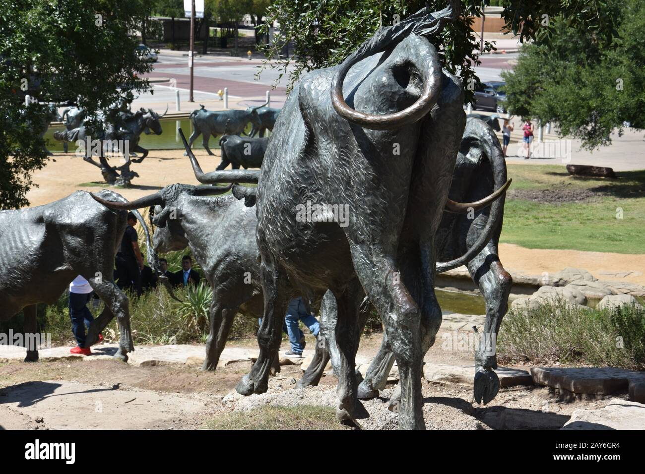 The Cattle Drive Sculpture at Pioneer Plaza in Dallas, Texas Stock ...
