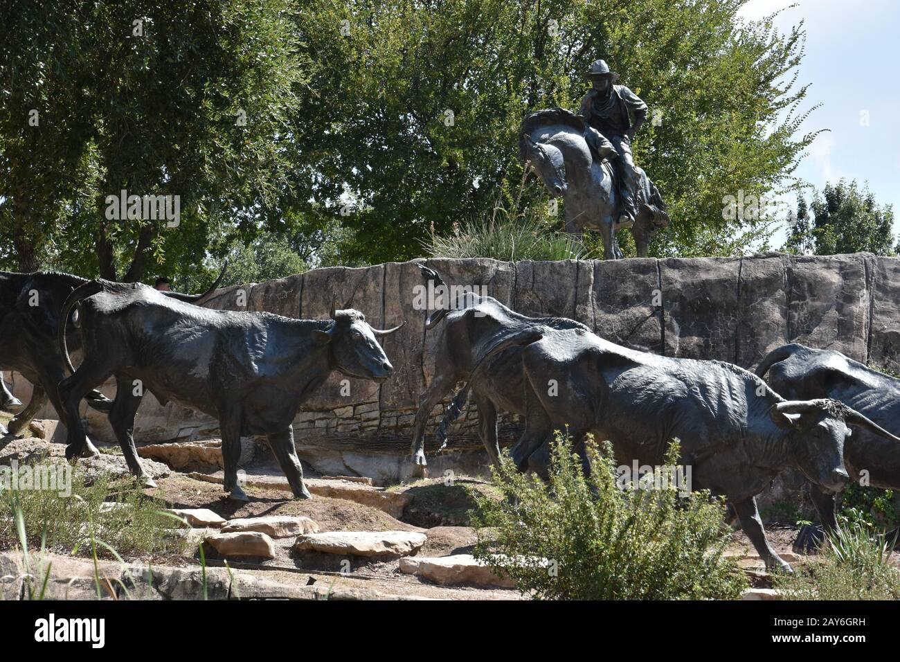 The Cattle Drive Sculpture at Pioneer Plaza in Dallas, Texas Stock ...