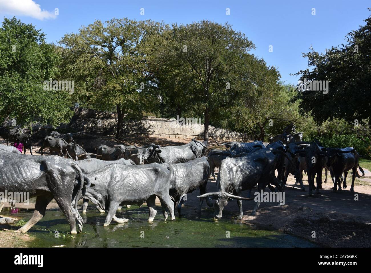The Cattle Drive Sculpture at Pioneer Plaza in Dallas, Texas Stock ...