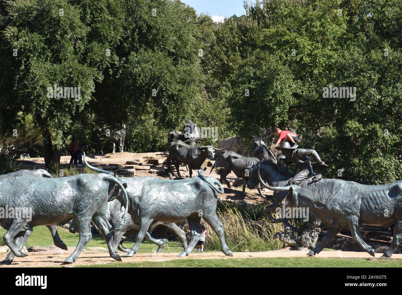The Cattle Drive Sculpture at Pioneer Plaza in Dallas, Texas Stock ...