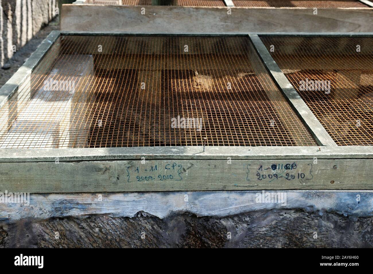 Covered boxes of young giant tortoise breeding center in Isabela Island ...