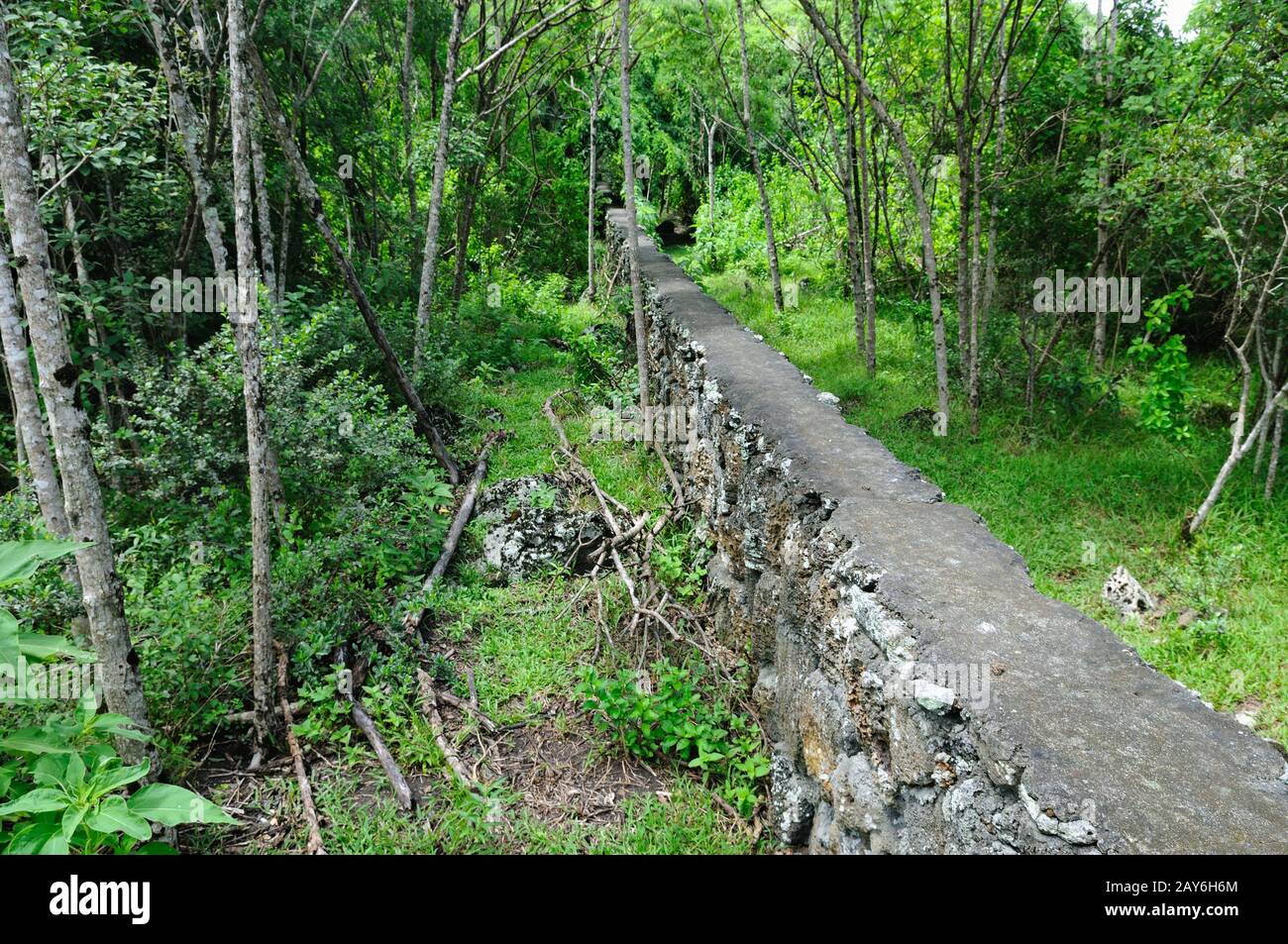 Wall rearing of the giant turtle islands Floreana Galapagos Islands ...