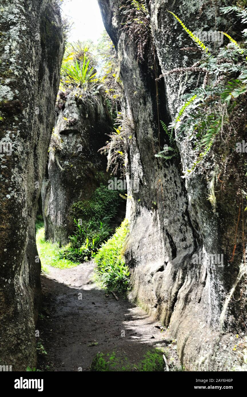 Face in the rock face on the island of Floreana Galapagos Islands ...